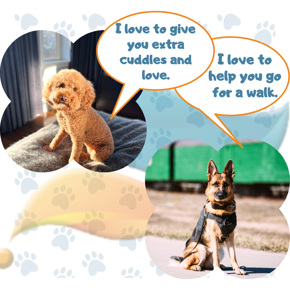 Emotional Support Animal (ESA) vs. Service Dog: What is the Difference ...