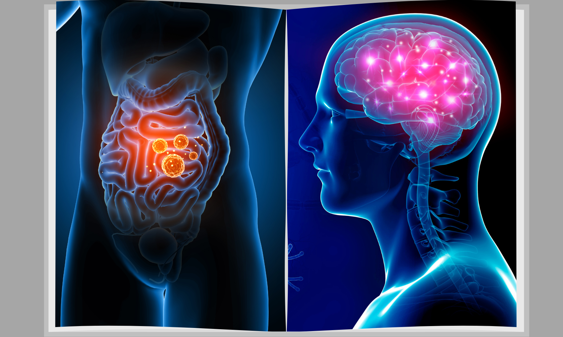The Gut-Brain Connection - Gateway to Solutions